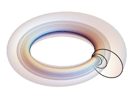 Earring Mapping Torus | Wild Topology